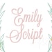2.5" Inch Embroidery Font Satin Stitch Script Emily Includes Numbers BX ...