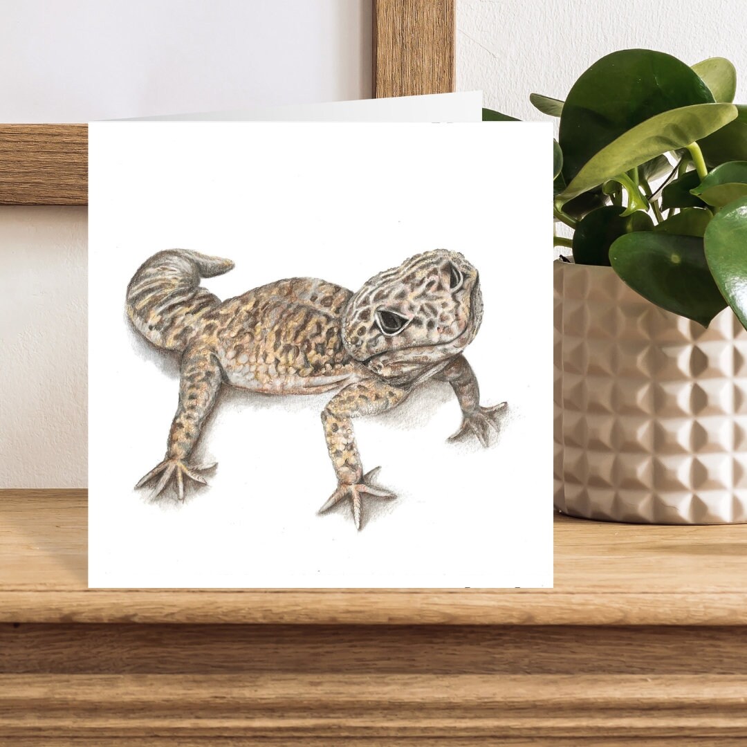 Leopard Gecko Greetings Card. Reptile Gecko Artwork. Hand Drawn Artists ...