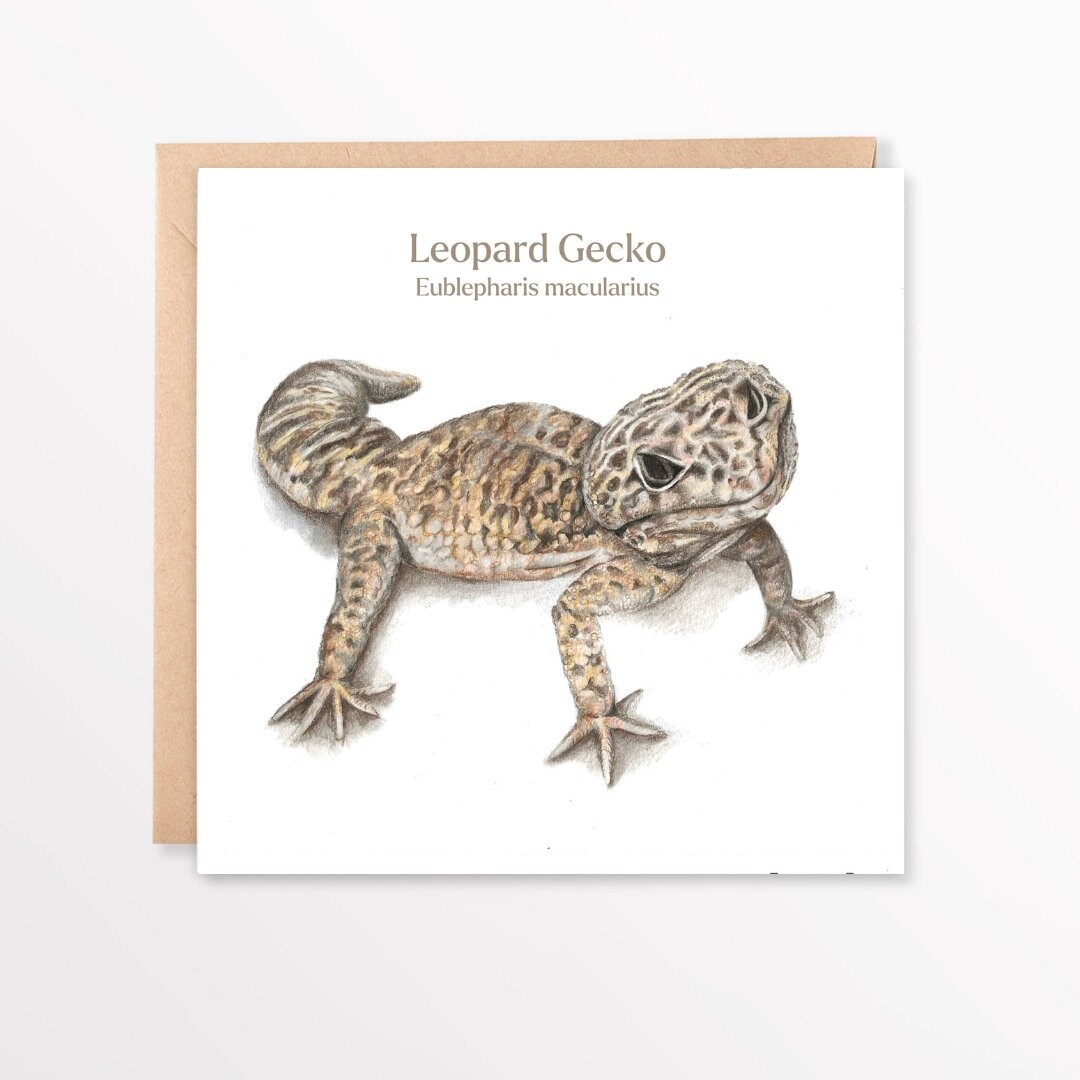 Leopard Gecko Card: Hand-drawn Reptile Art - Etsy