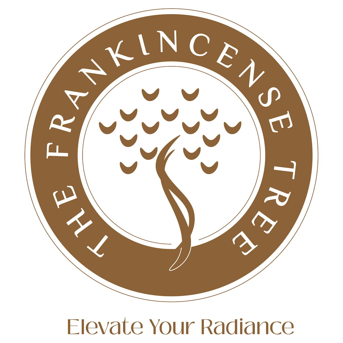 Dragon’s Blood Resin | Dracaena Cinnabari From Socotra | Rare Natural ...