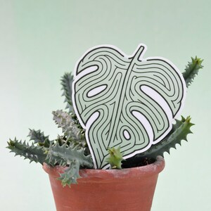 Monstera Split Leaf Maze Sticker | Premium Die Cut Vinyl | 3 X 3.5 ...