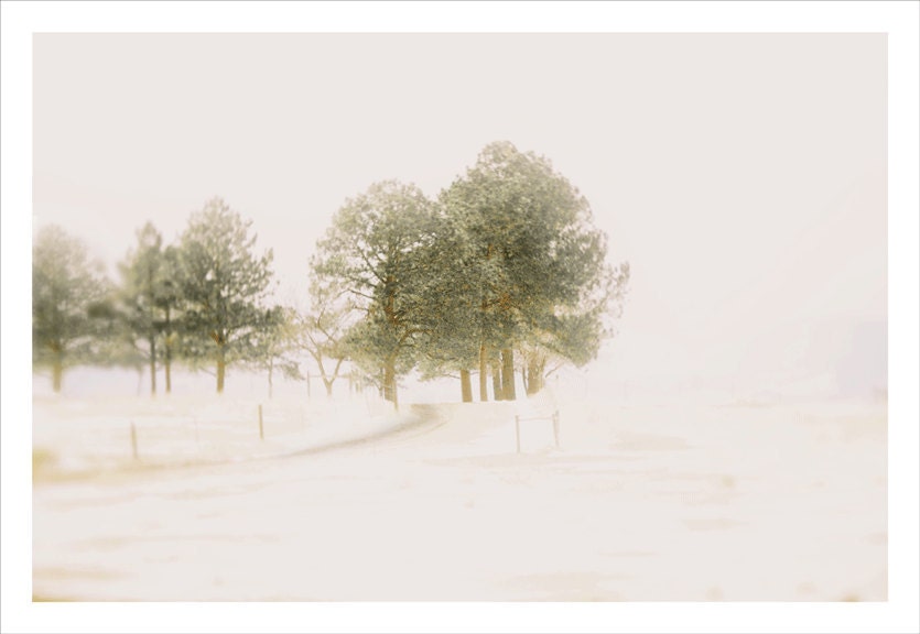 Tree Photography, Landscape Photography - 9x12 Fine Art Photo - Dreamy ...