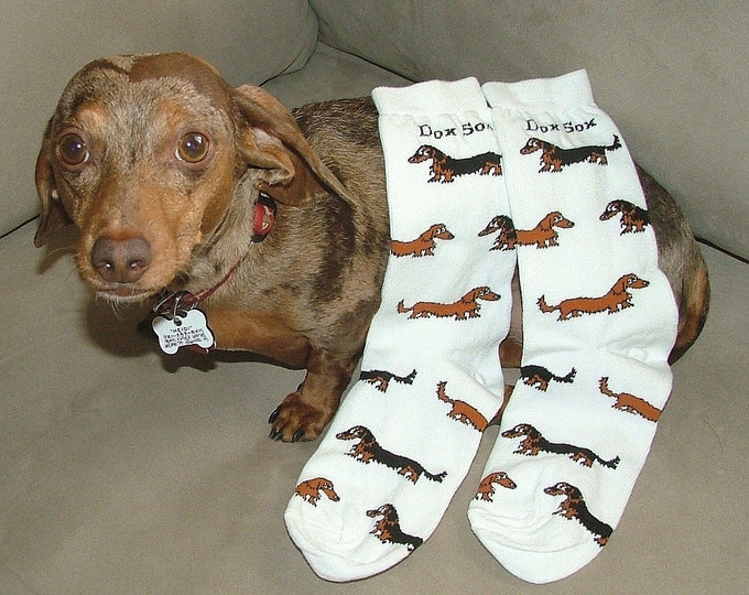 Dachshund Socks Longhair Dox Sox - Etsy