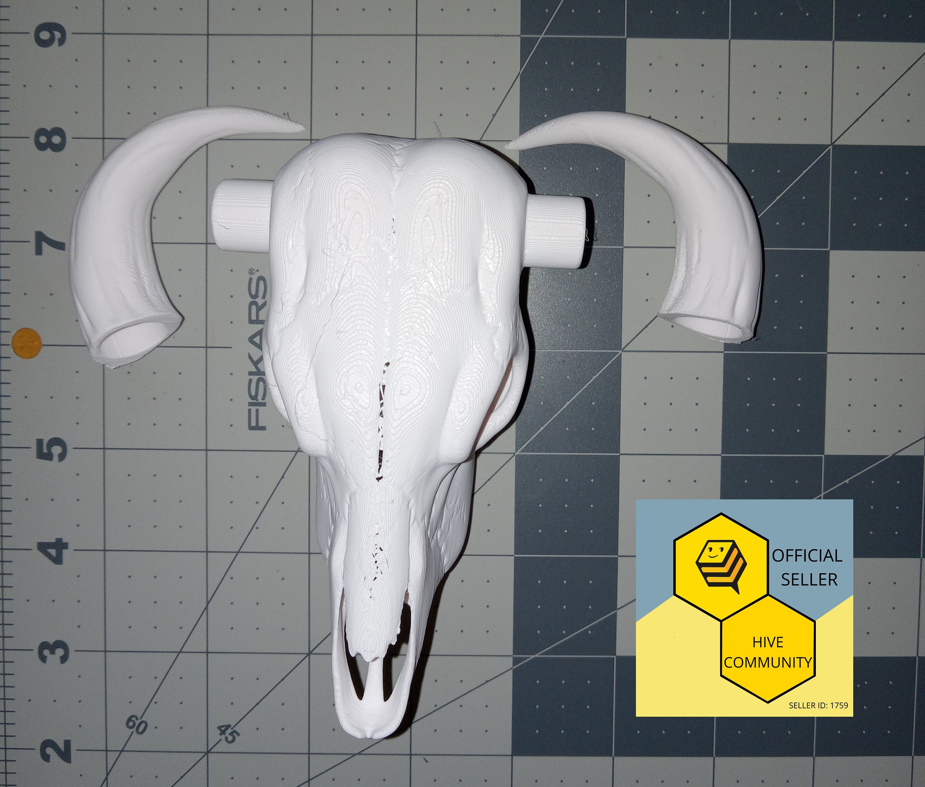 3D Printed Cow Skull - Etsy