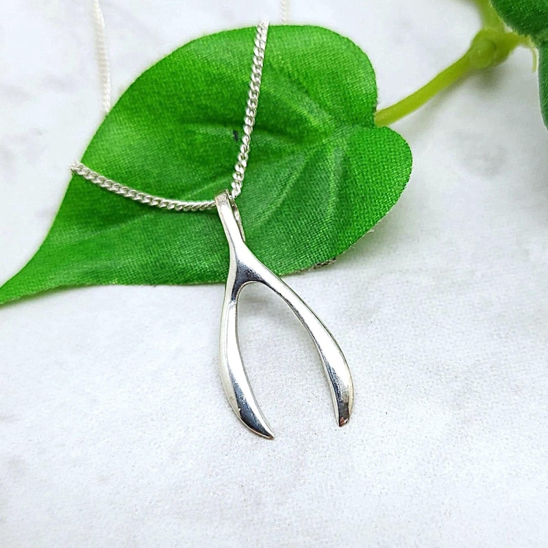 Wishbone Conan Gray Necklace - Etsy