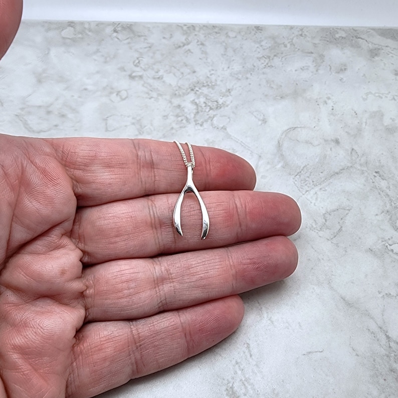 Wishbone Necklace, Sterling Silver, Good Luck Symbol, Hope, Good ...