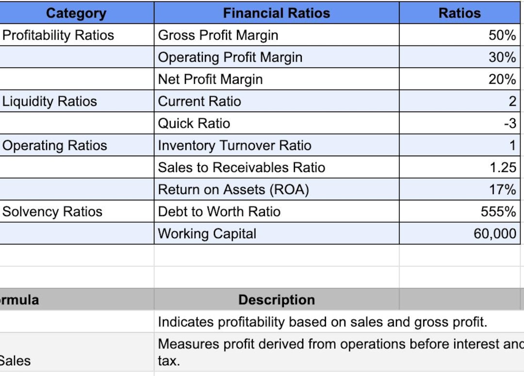 Financial Ratios Calculator Excel Template - Essential Tool for ...