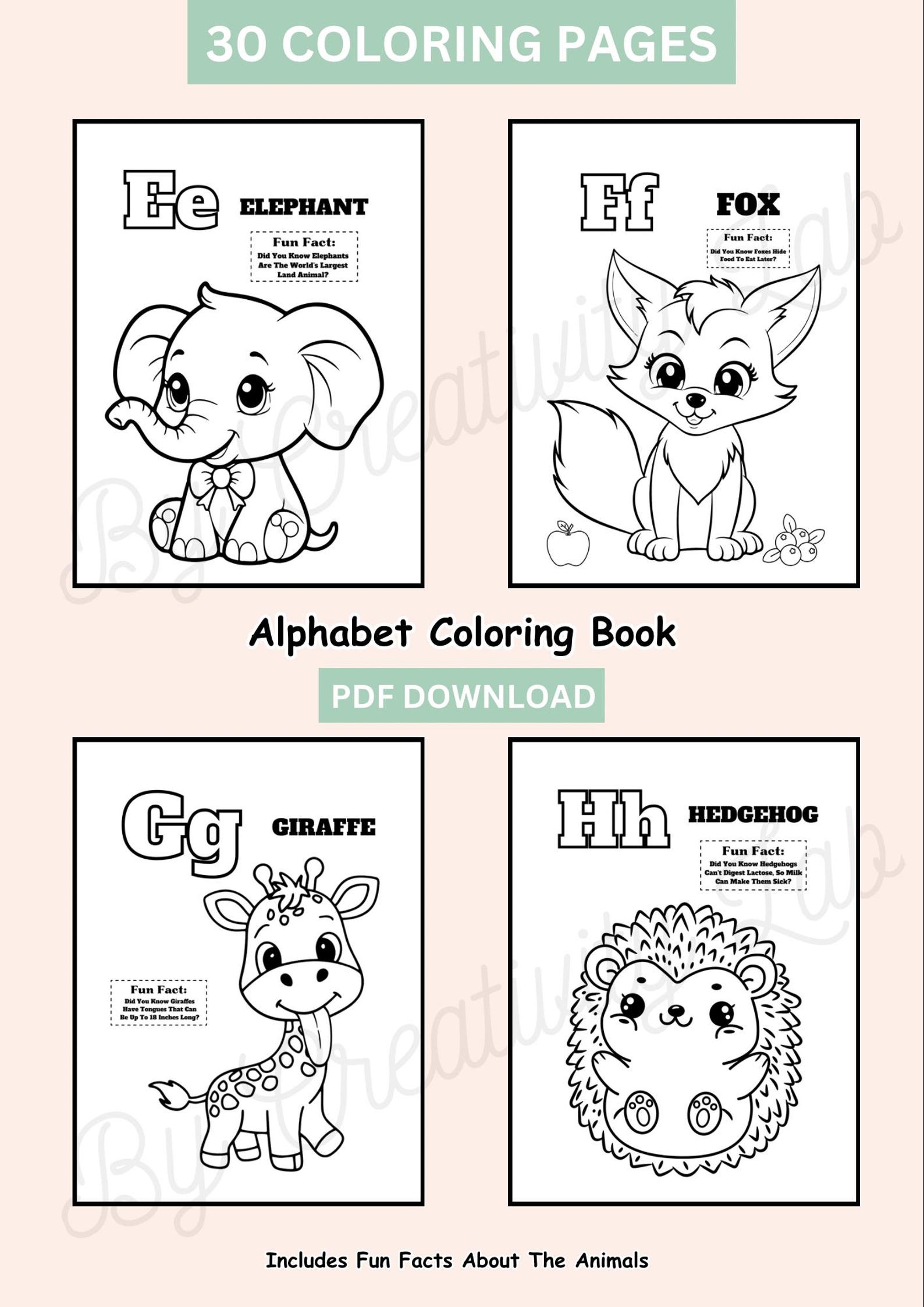Animals Alphabet Coloring Book (PDF Download) - Etsy