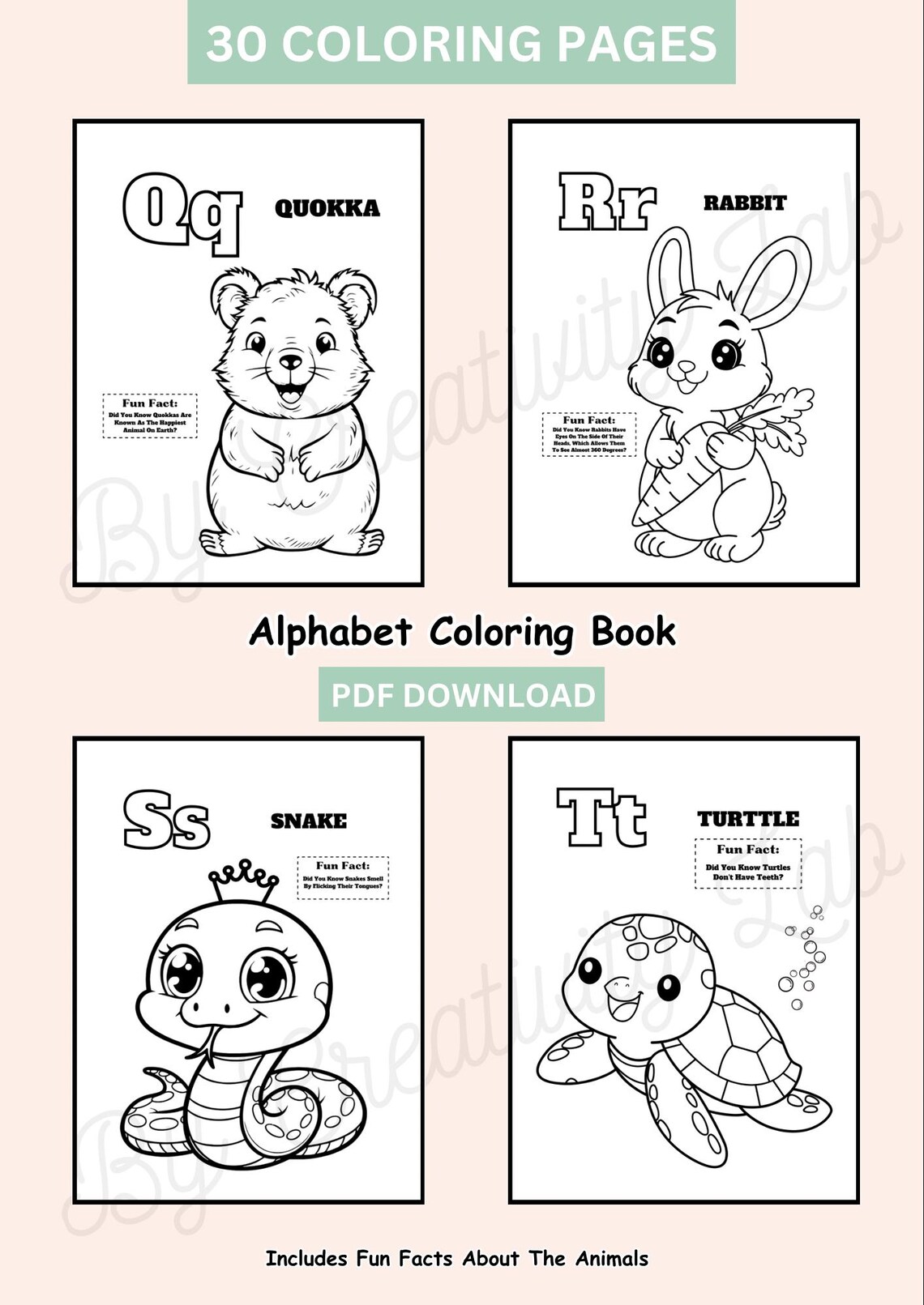 Animals Alphabet Coloring Book (PDF Download) - Etsy