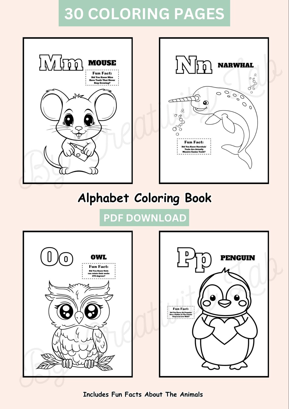 Animals Alphabet Coloring Book (PDF Download) - Etsy