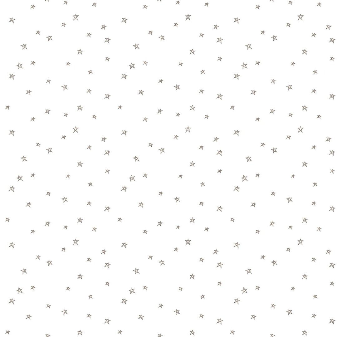 Lori Holt Bee Plaids Star Pebble # C12039R-PEBBLE - Etsy
