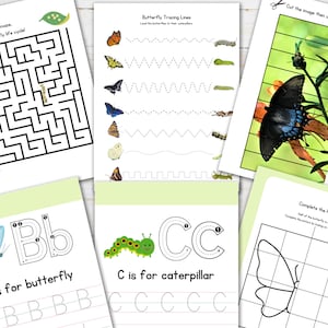 Butterfly Unit Study - Anatomy - Life Cycle - Science - Nature Study ...