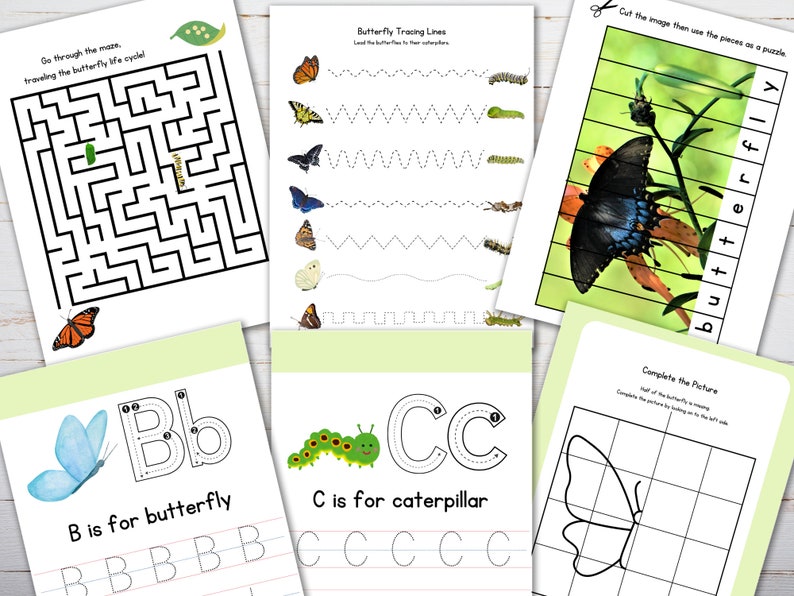 Butterfly Unit Study - Anatomy - Life Cycle - Science - Nature Study ...