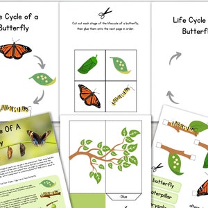 Butterfly Unit Study - Anatomy - Life Cycle - Science - Nature Study ...