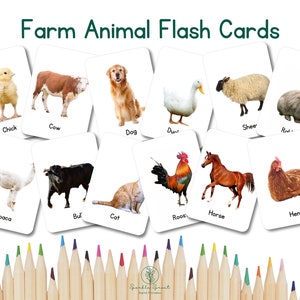 Farm Animal Flash Cards - Preschool Memorization - Language Development ...