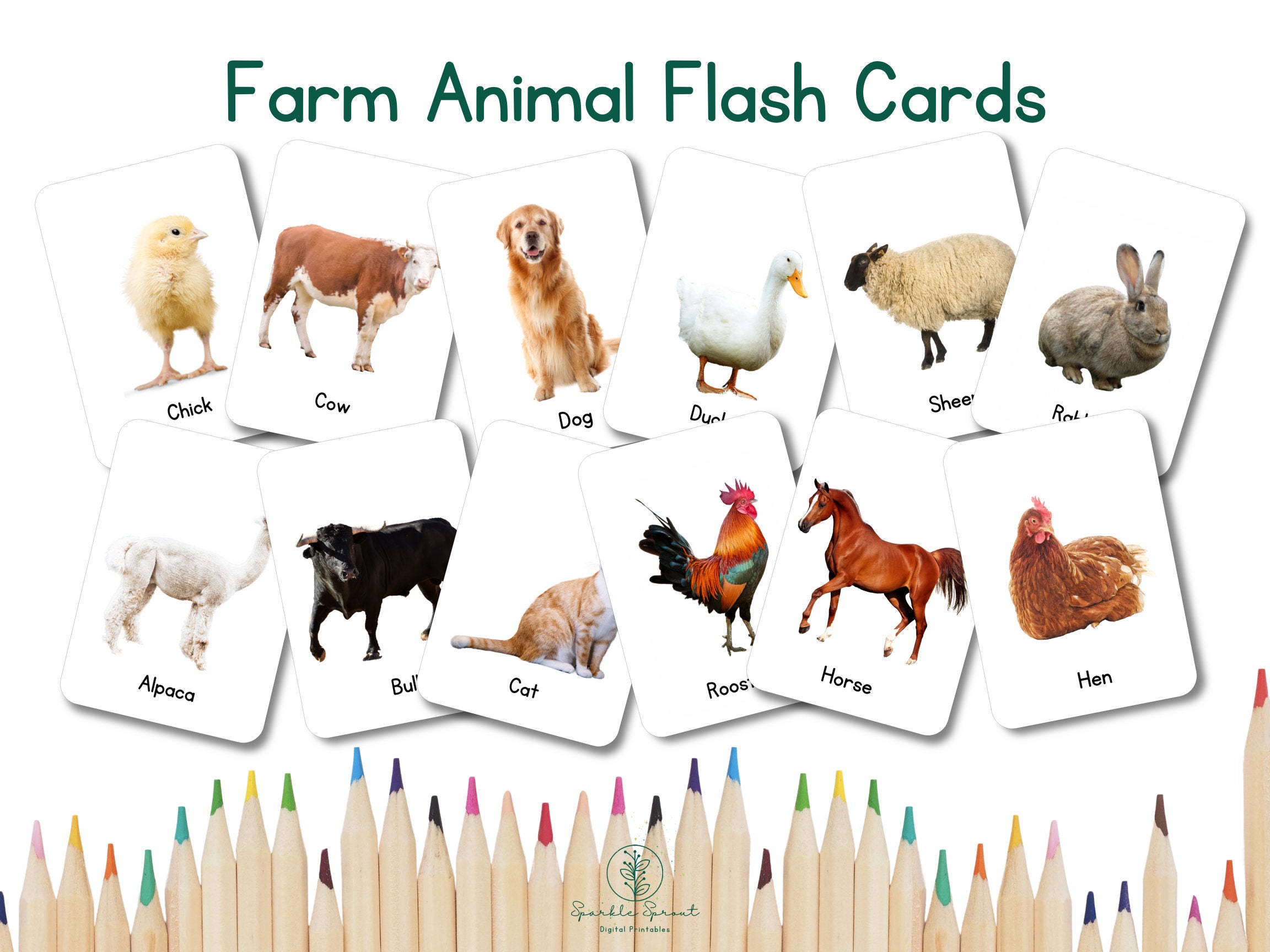 Farm Animal Flash Cards - Preschool Memorization - Language Development ...