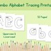 Jumbo Alphabet Tracing Printables - 52 Letter Tracing Worksheets ...