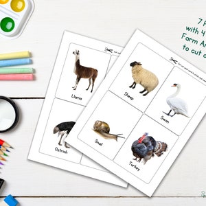 Farm Animal Flash Cards - Preschool Memorization - Language Development ...