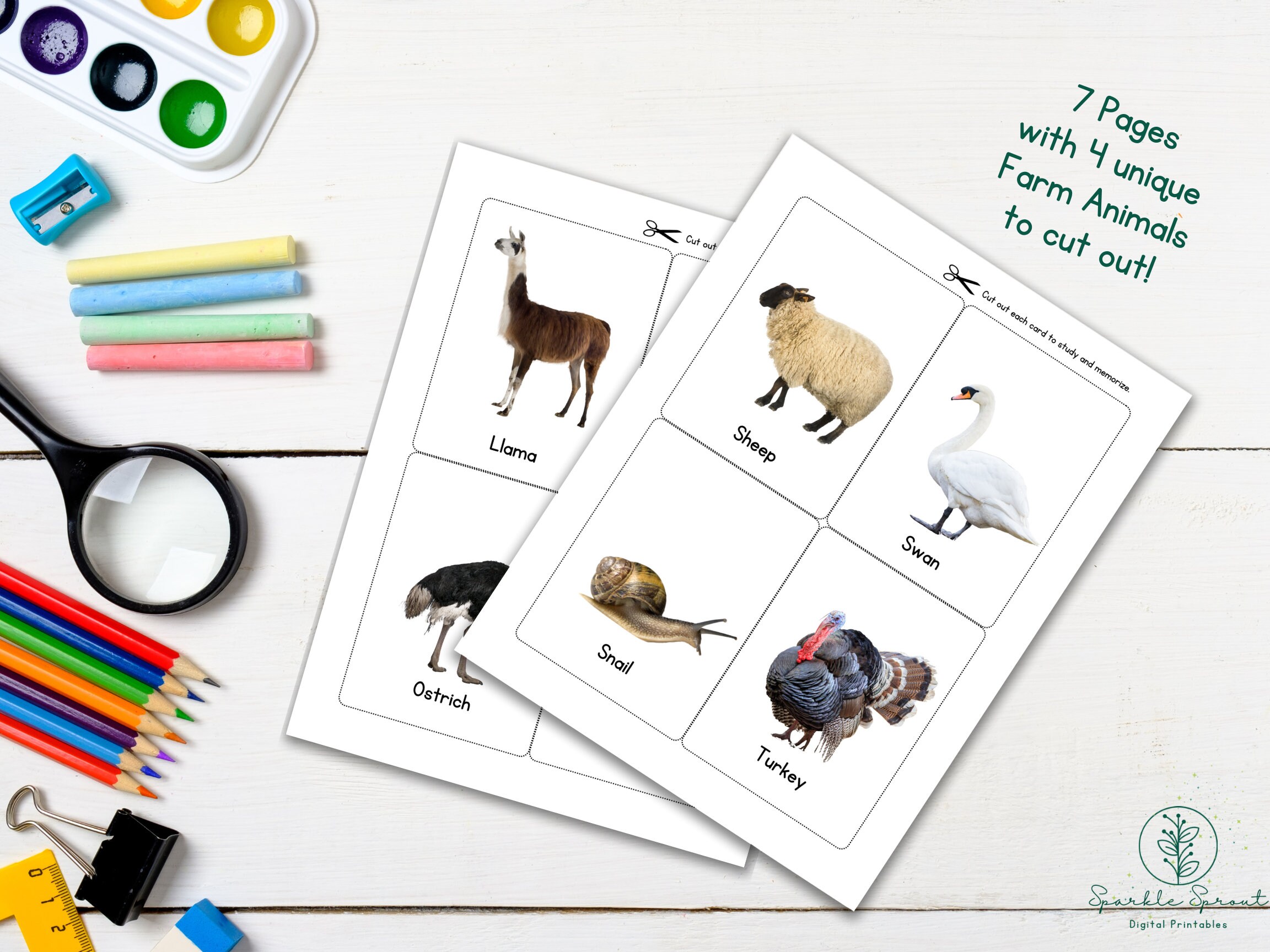 Farm Animal Flash Cards - Preschool Memorization - Language Development ...