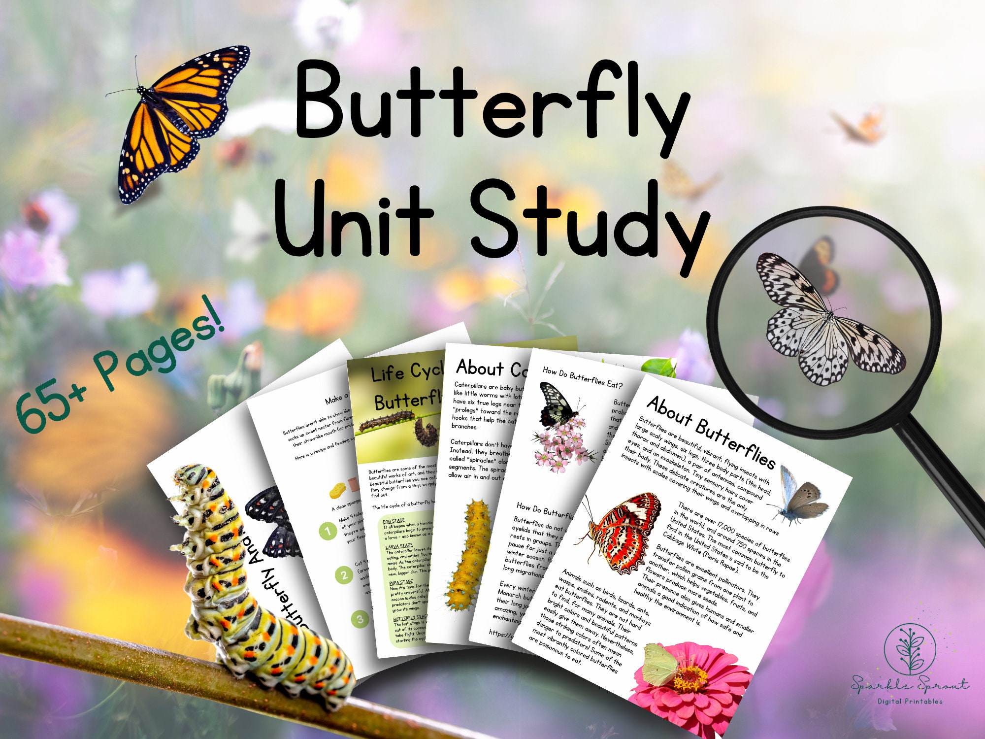Butterfly Unit Study Anatomy Life Cycle Science Nature Study Montessori ...