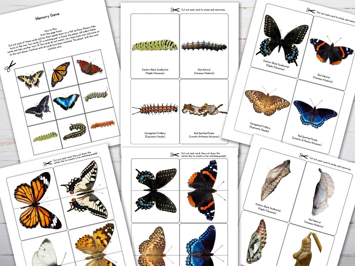 Butterfly Unit Study - Anatomy - Life Cycle - Science - Nature Study ...