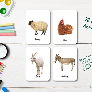 Farm Animal Flash Cards - Preschool Memorization - Language Development ...