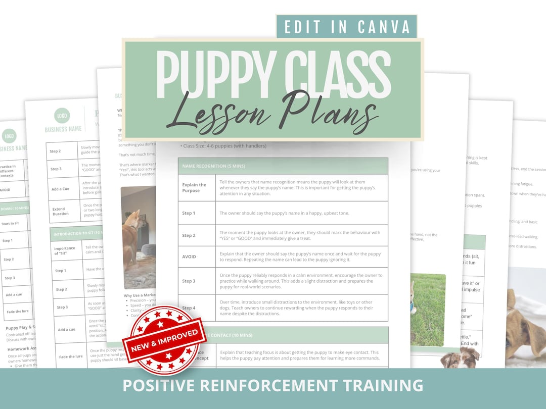 Puppy Training Lesson Plan: 6-week Course Outline (digital Download) - Etsy