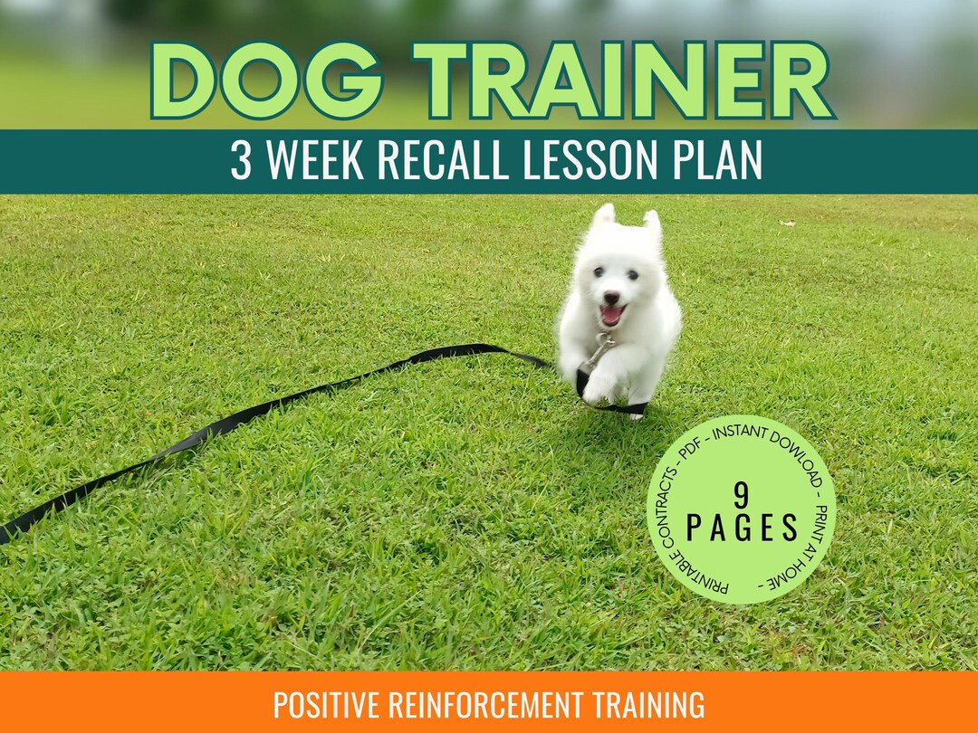 Recall Workshop Template for Dog Trainers | Dog Training Lesson Plan ...