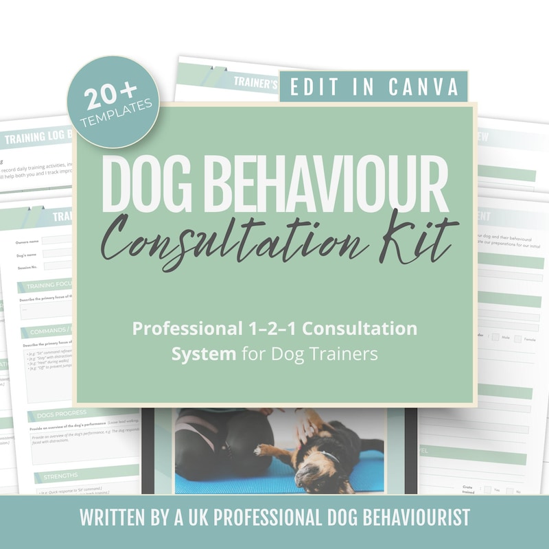 Dog Behaviour Plan Template - Etsy UK