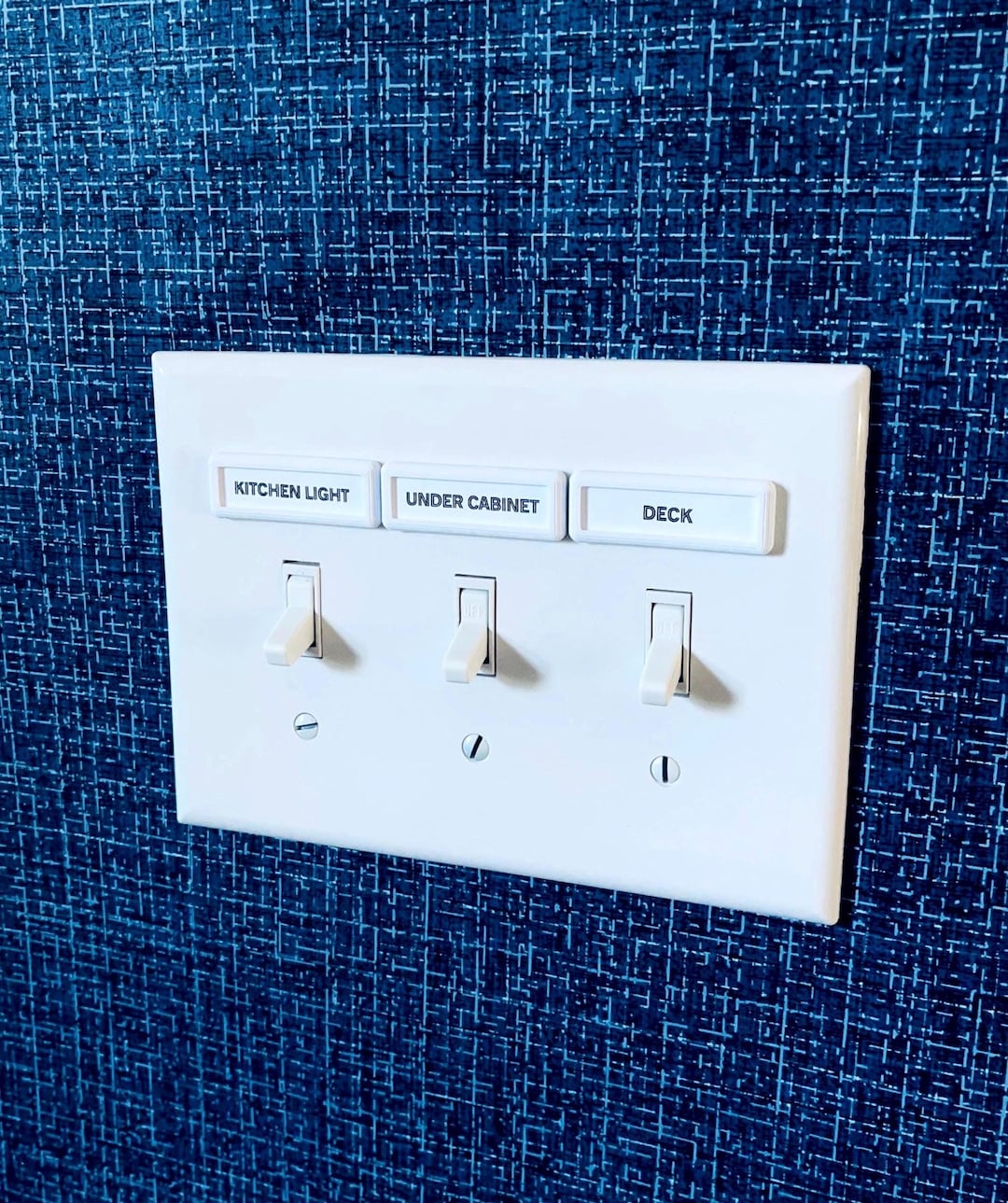 The Switch Label: Light Switch Label Frames for Light Switch Cover ...