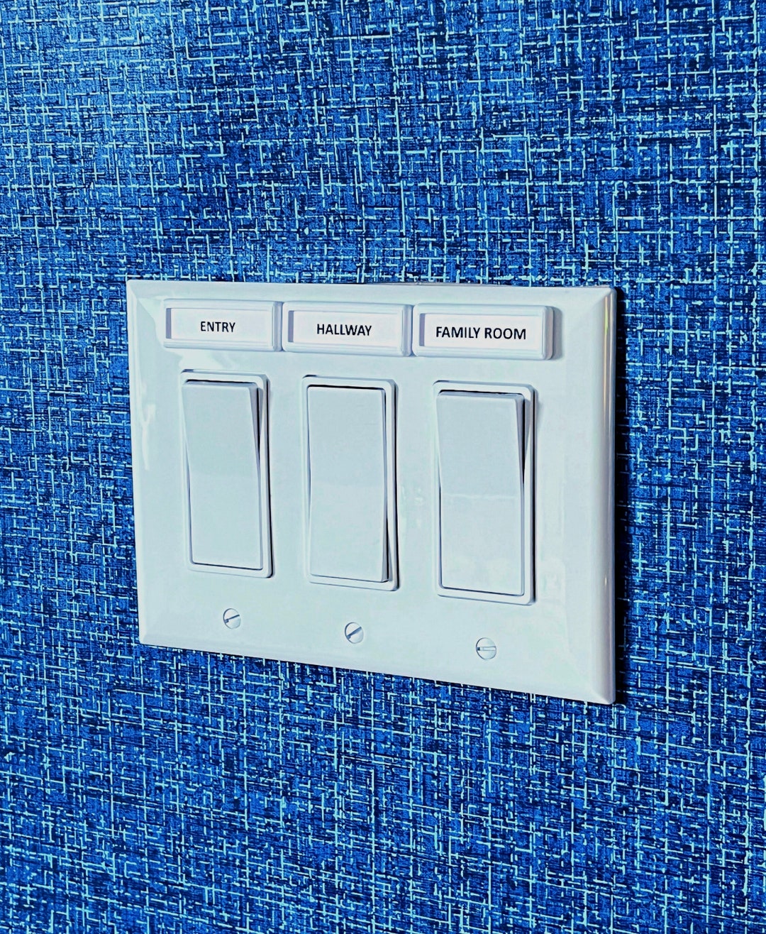 The Switch Label: Light Switch Label Frames for Light Switch Cover ...