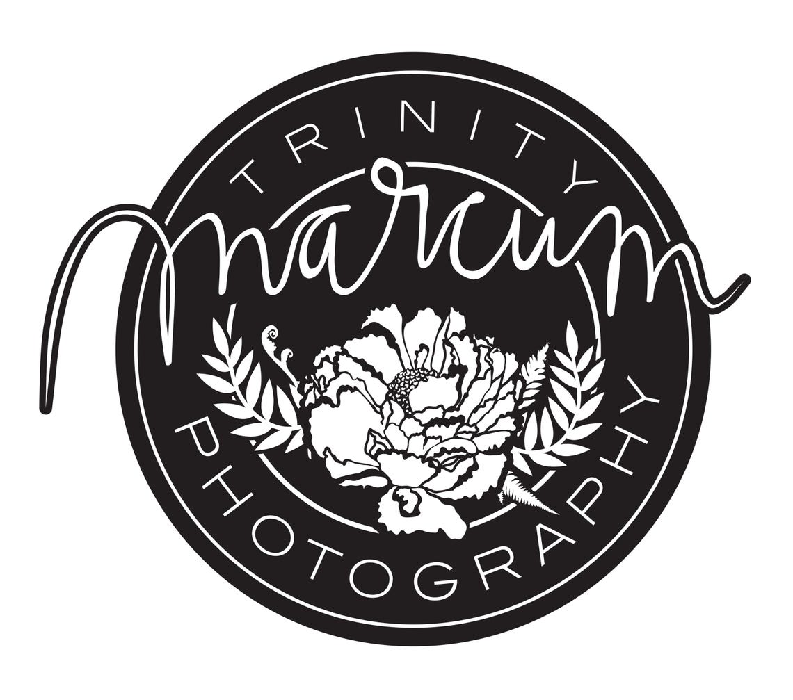 Custom One Color Logo Design - Etsy