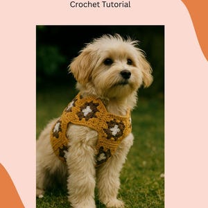 Retro Granny Square Dog Vest Crochet Pattern | Handmade Pet Outfit - Etsy