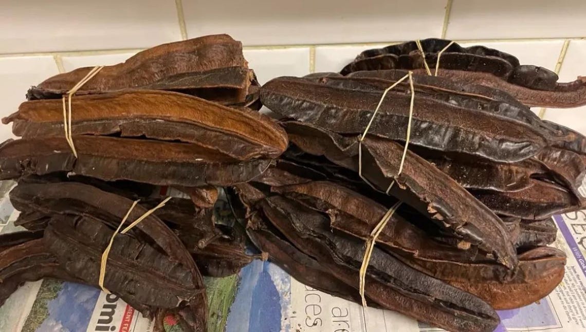 Prekese Aidan Pods (tetrapleura Tetraptera) - Natural African Herbal ...