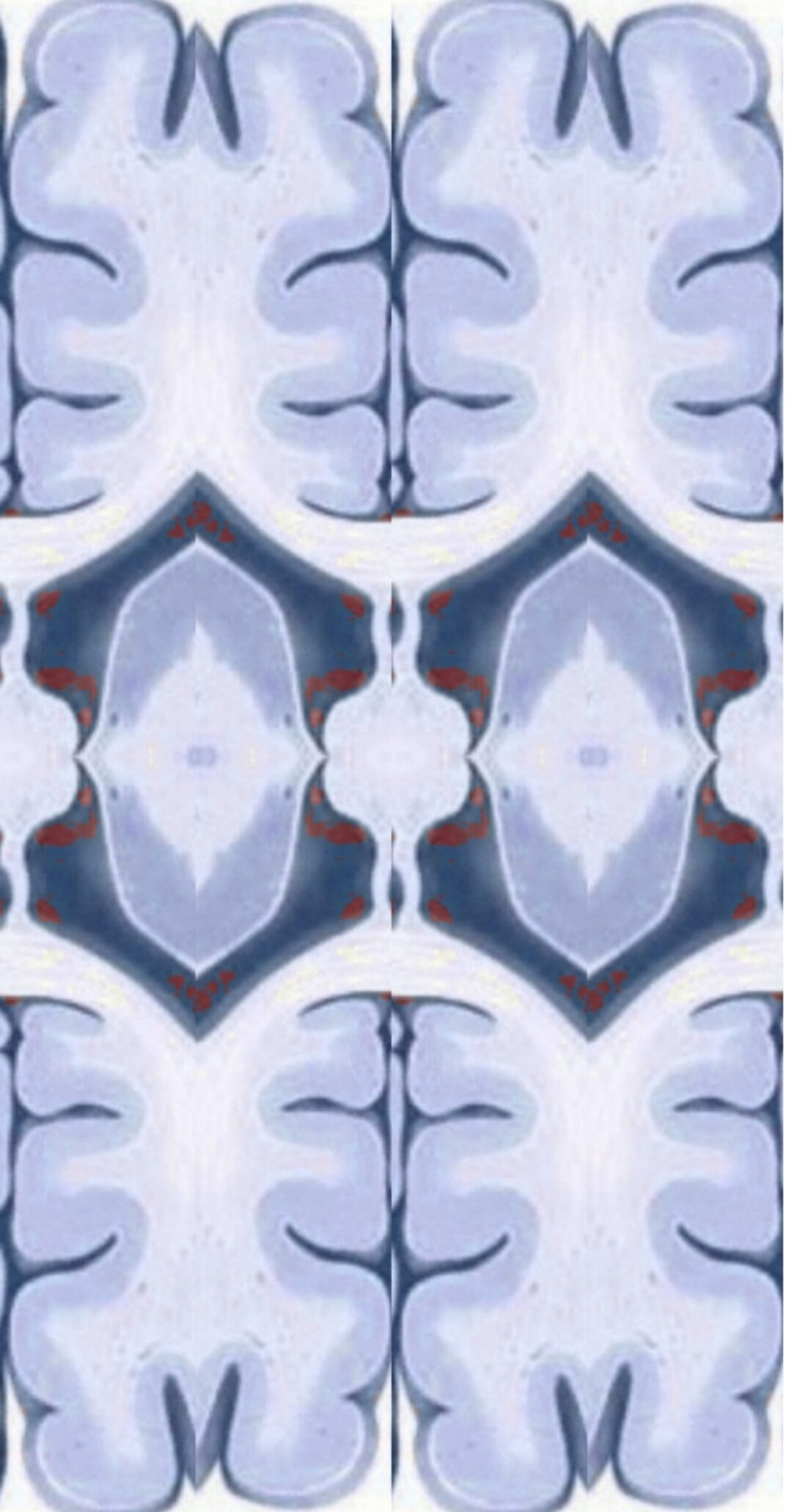 Brain Wall Art Photo Digital Download - Etsy