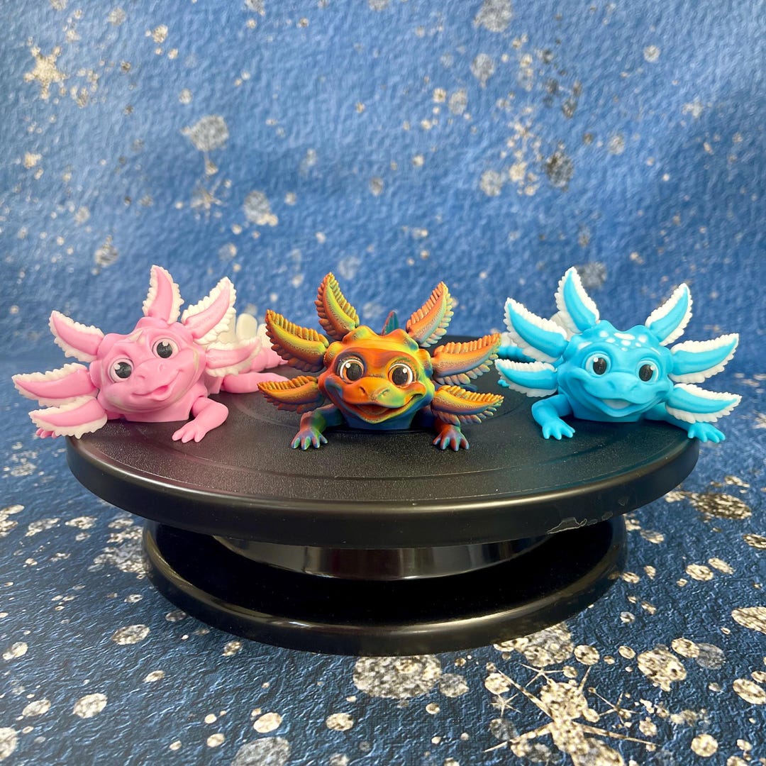 Articulated Axolotl Fidget Toy, Sensory Toys, ADHD Fidget, Desk Fidget ...