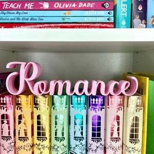Romance Bookshelf Sign Library Book Lover Gift Custom Colors Book Club ...