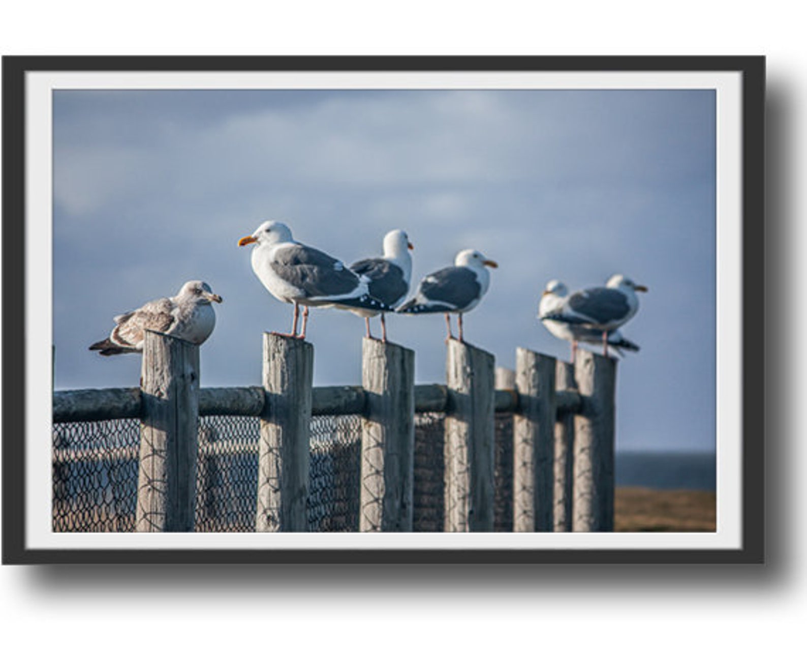 Wall Art Seagulls, Digital Download Art, Wall Decor Nautical, Room ...