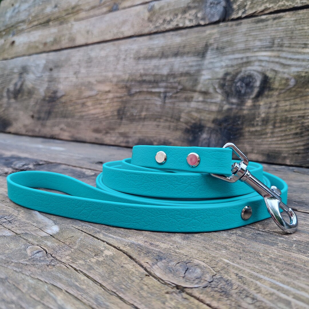 PVC Lead 5m Dog-go Leash - Etsy
