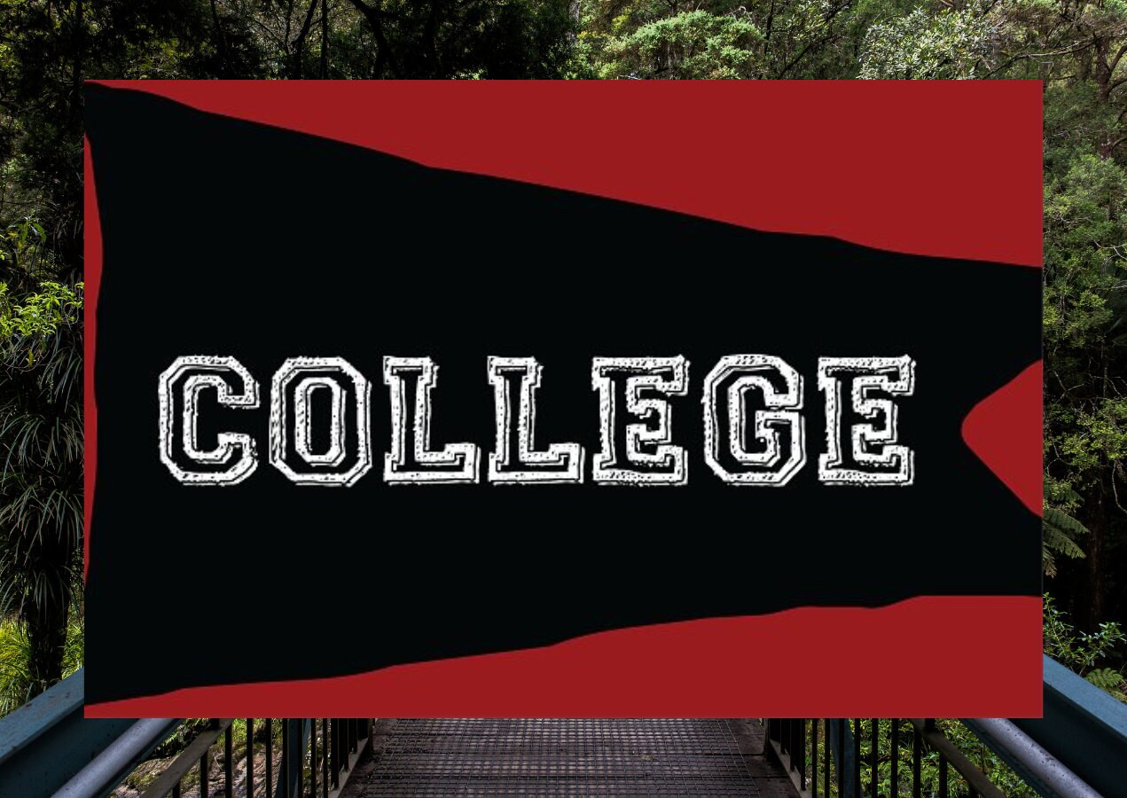 College Dropout Font Slab Serif Fonts, Modern Calligraphy, Fonts for ...