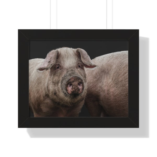 Swine - Etsy