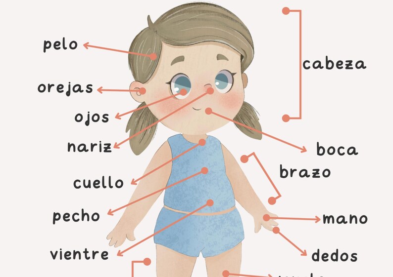 Spanish Body Parts Educational Poster, Bilingual Learning Classroom ...