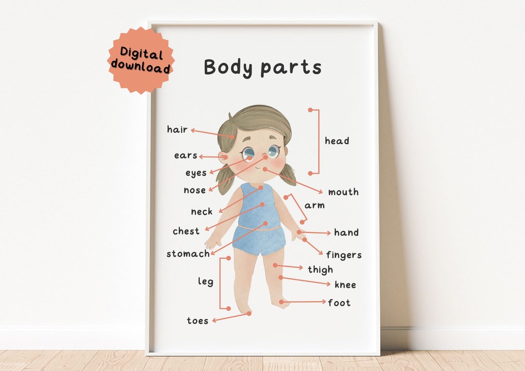 Body Parts Educational Poster, Vocabulary, Montessori Poster ...