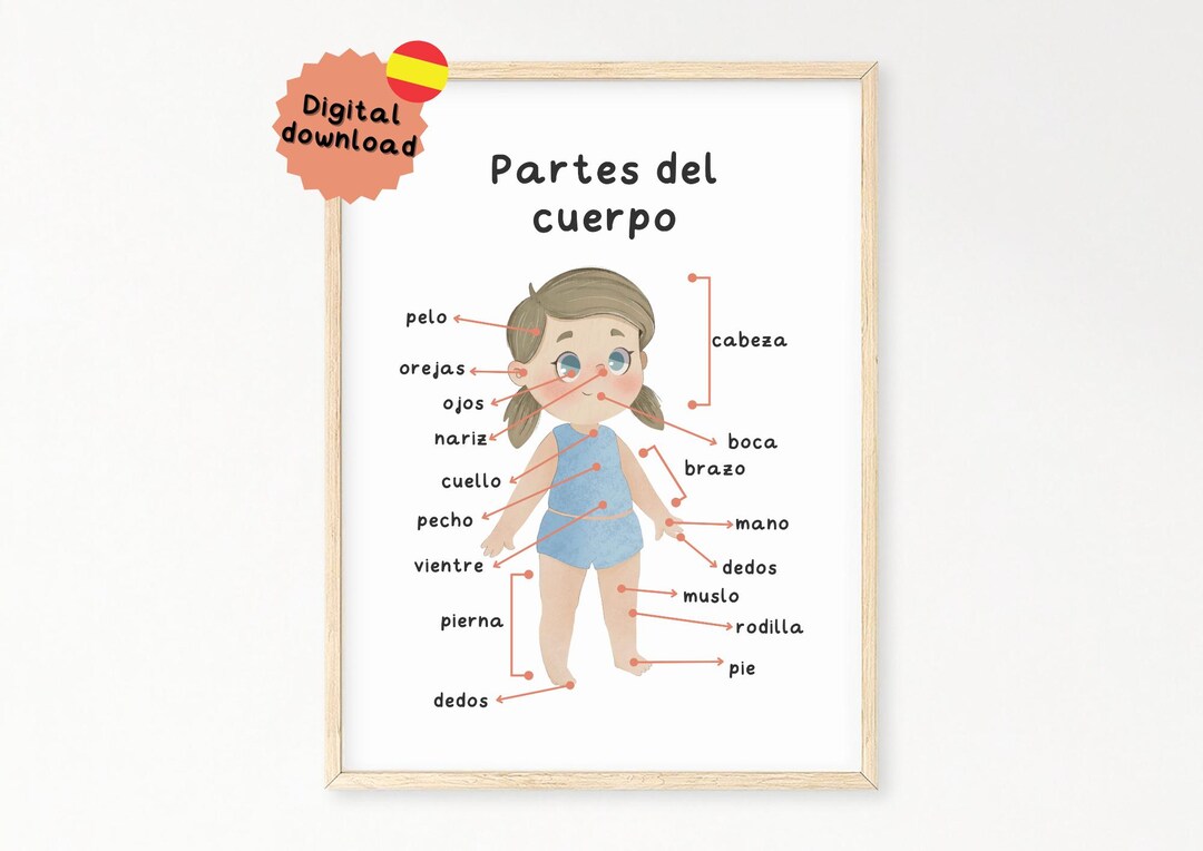Spanish Body Parts Educational Poster, Bilingual Learning Classroom ...