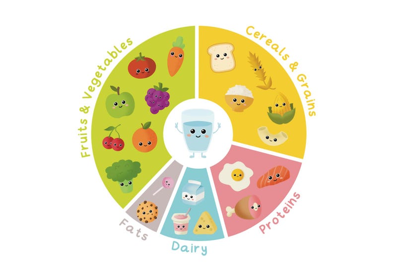 Educational Food Wheel Poster, Montessori Poster, Nutrition Wheel, Food ...