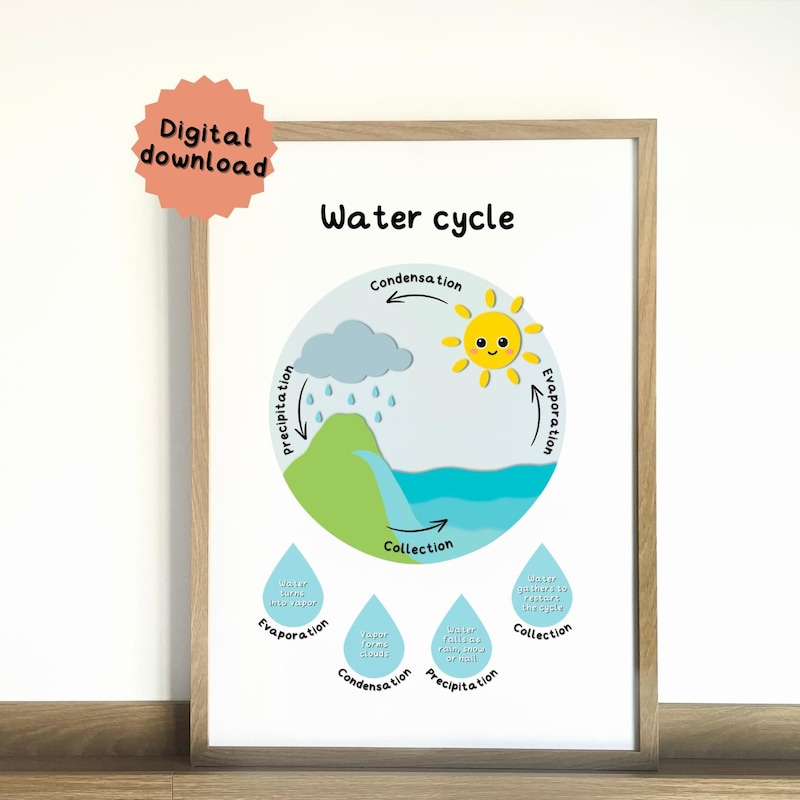 Water Cycle Poster - Etsy UK