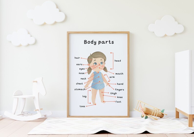 Body Parts Educational Poster, Vocabulary, Montessori Poster ...