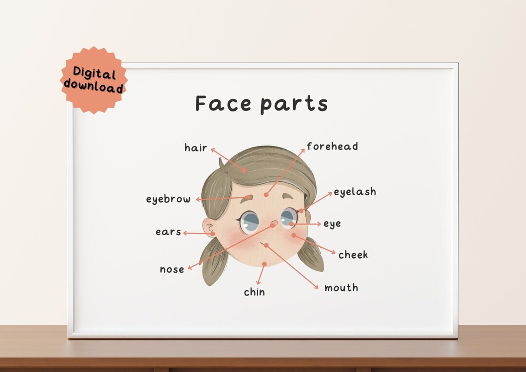 Face Parts Educational Poster, Parts of the Face Vocabulary, Montessori ...