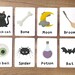 24 Halloween Flashcards, Montessori Printable Halloween Learning Cards ...