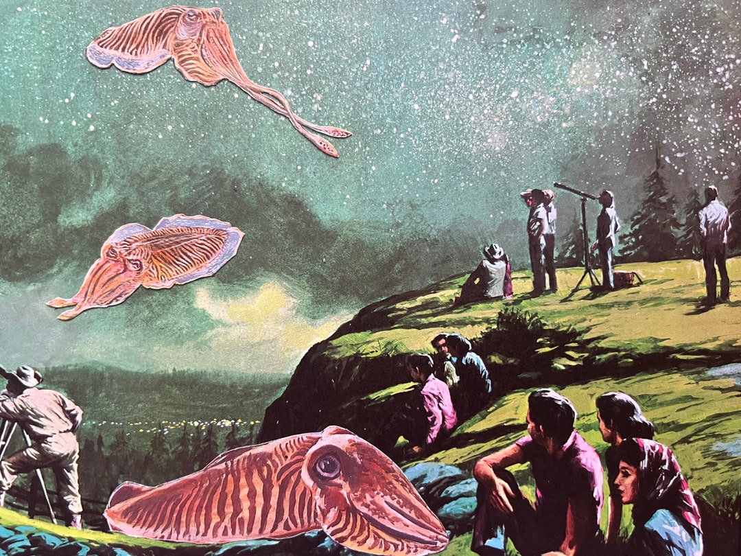 S.O.S. an Original Hand Cut Art Collage Featuring Your Future Memories ...